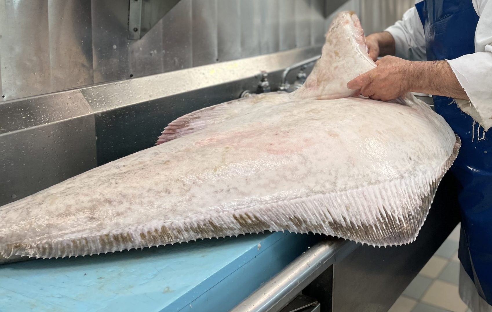 New Victoria Fish | Best Smoked Salmon & Fish Market in Montreal