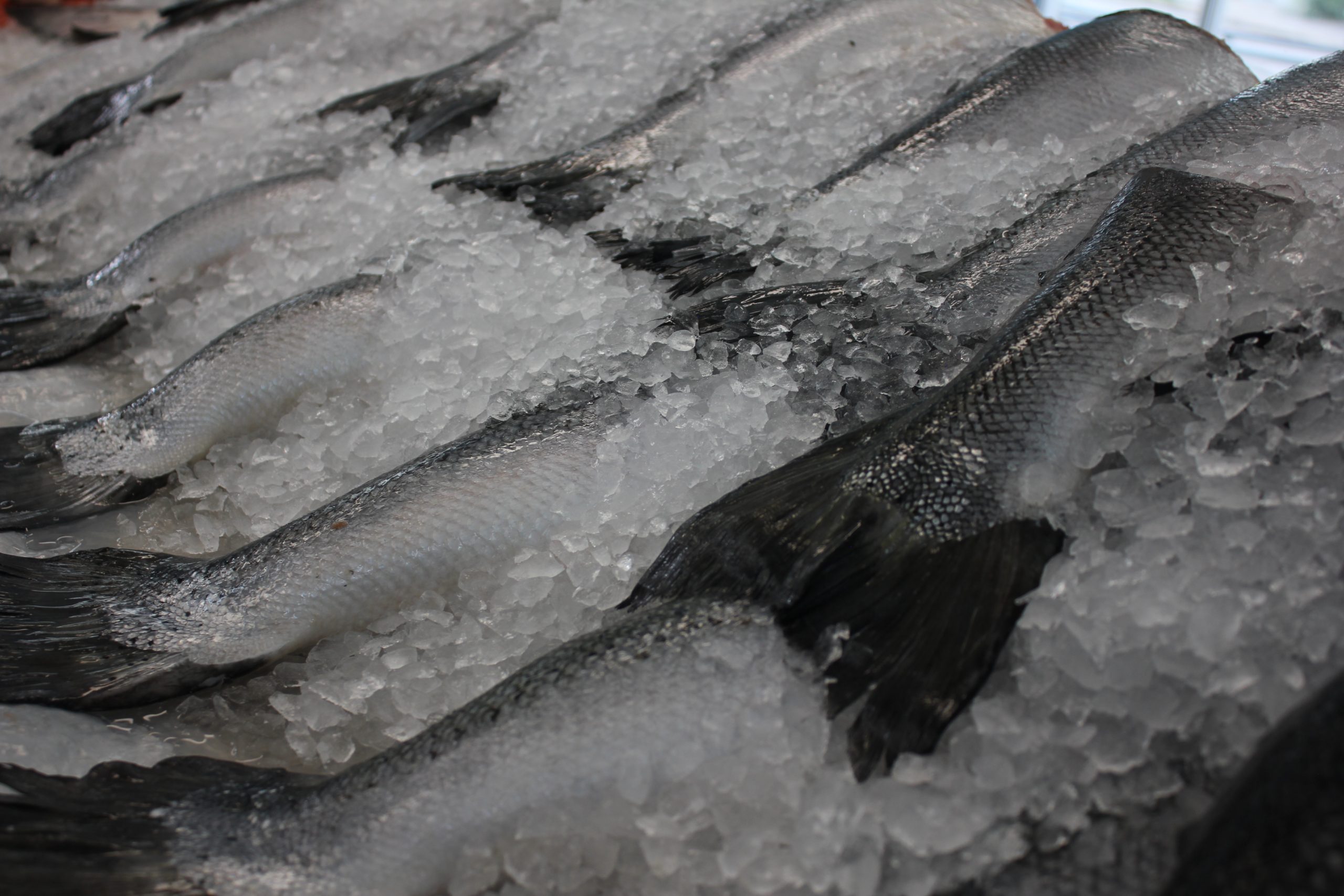 New Victoria Fish | Best Smoked Salmon & Fish Market in Montreal